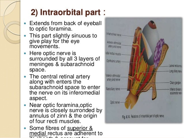 Anatomy of visual pathway, field defects and its lesions.