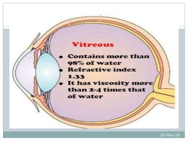 anatomy of vitreous.by dr azmat slideshare | PPT