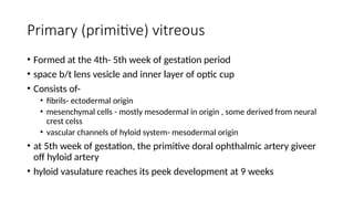 ANATOMY OF VITREOUS- Part 1(anatomy, composition, development)) | PPTX