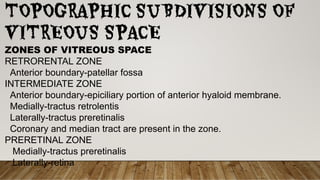 ANATOMY OF VITREOUS CHAMBER-ophthalmology | PDF
