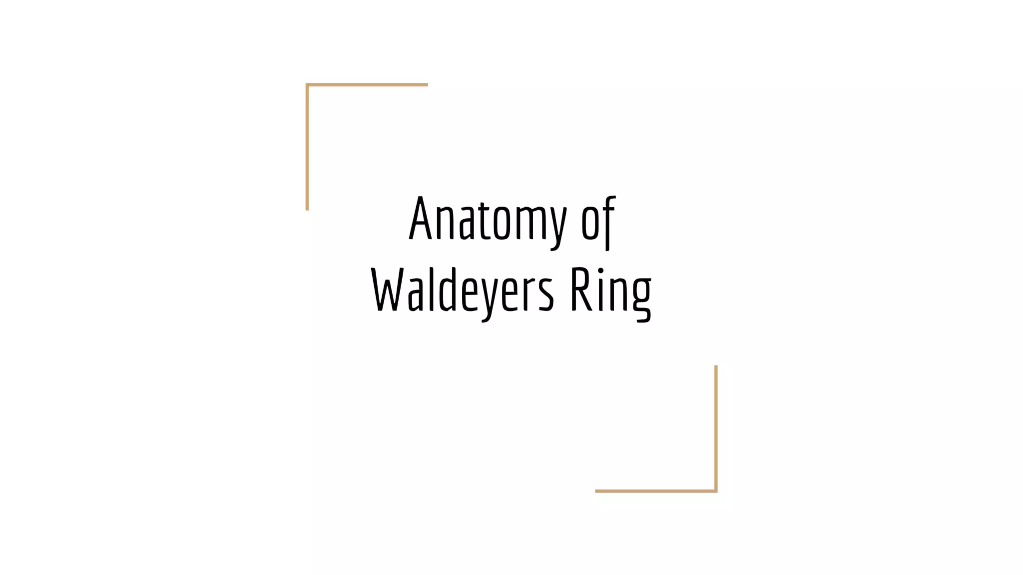 Anatomy of Waldeyers Ring .pptx
