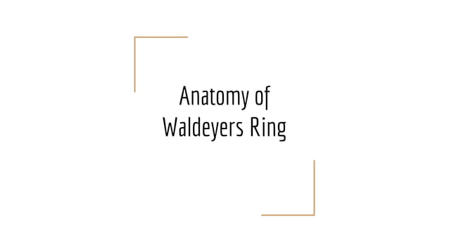 Anatomy of Waldeyers Ring .pptx