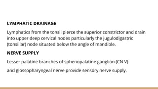 Anatomy of Waldeyers Ring .pptx