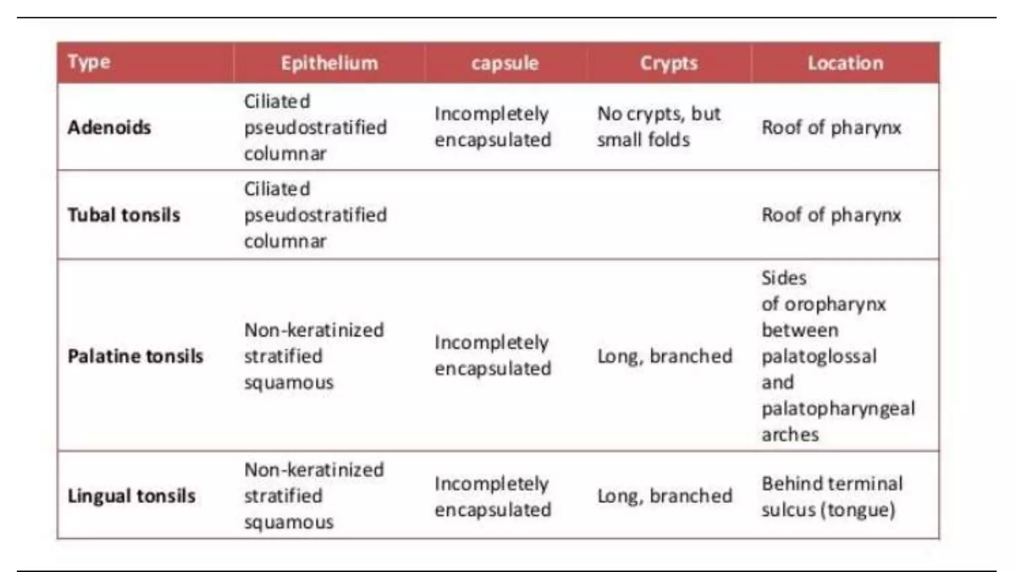 Anatomy of Waldeyers Ring .pptx