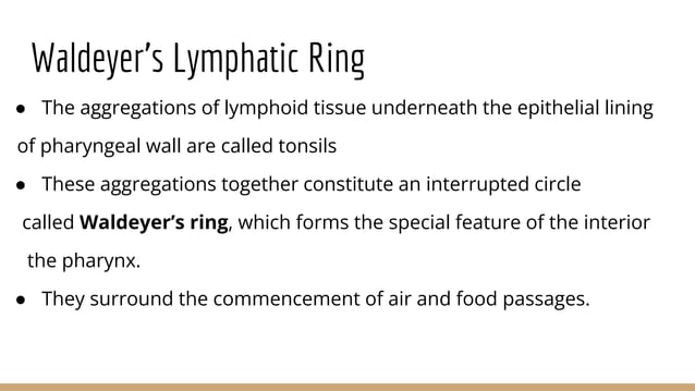 Anatomy of Waldeyers Ring .pptx