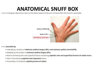 Anatomy of wrist joint | PPTX