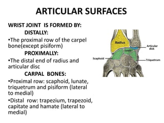 Anatomy of wrist joint | PPTX