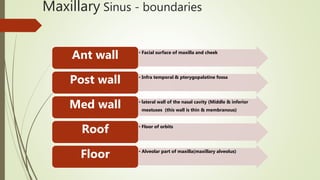 Anatomy of pns | PPTX