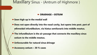Anatomy of pns | PPTX