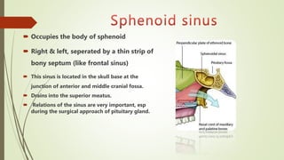 Anatomy of pns | PPTX