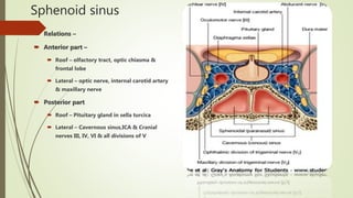 Anatomy of pns | PPTX