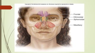 Anatomy of pns | PPTX