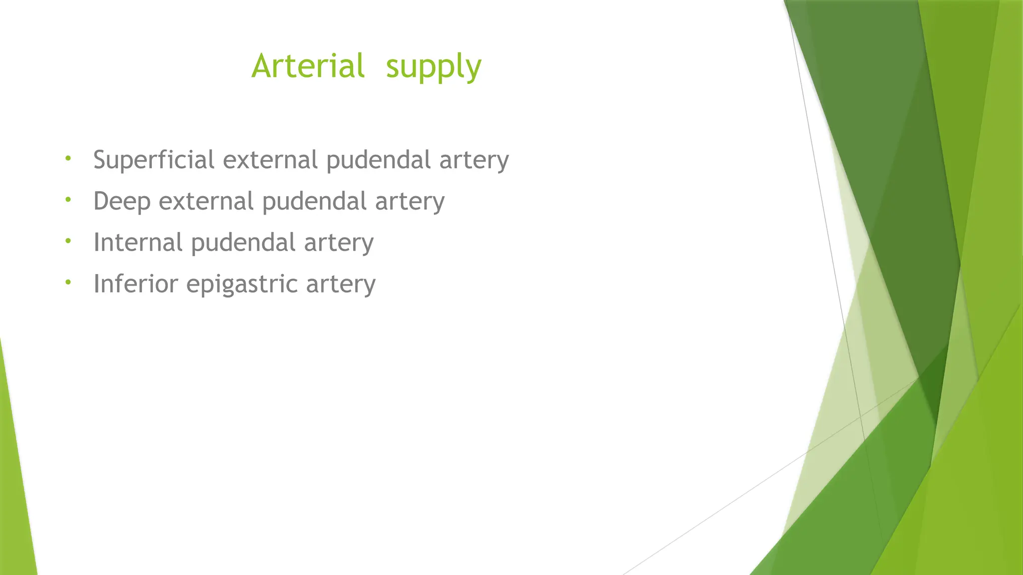 ANATOMY ON SCROTUM easy way to learn this just download.pptx