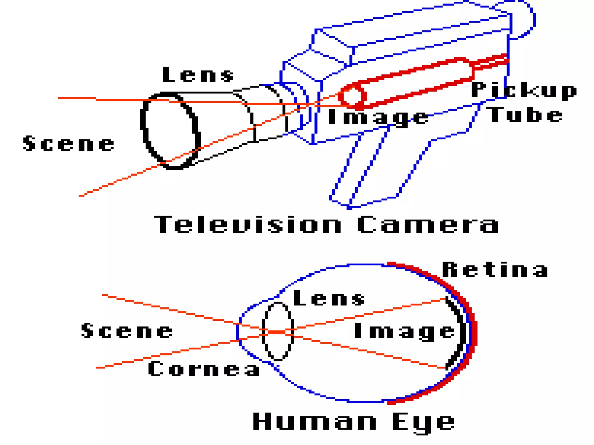Anatomy, optics & refractive errors of eye | PPT