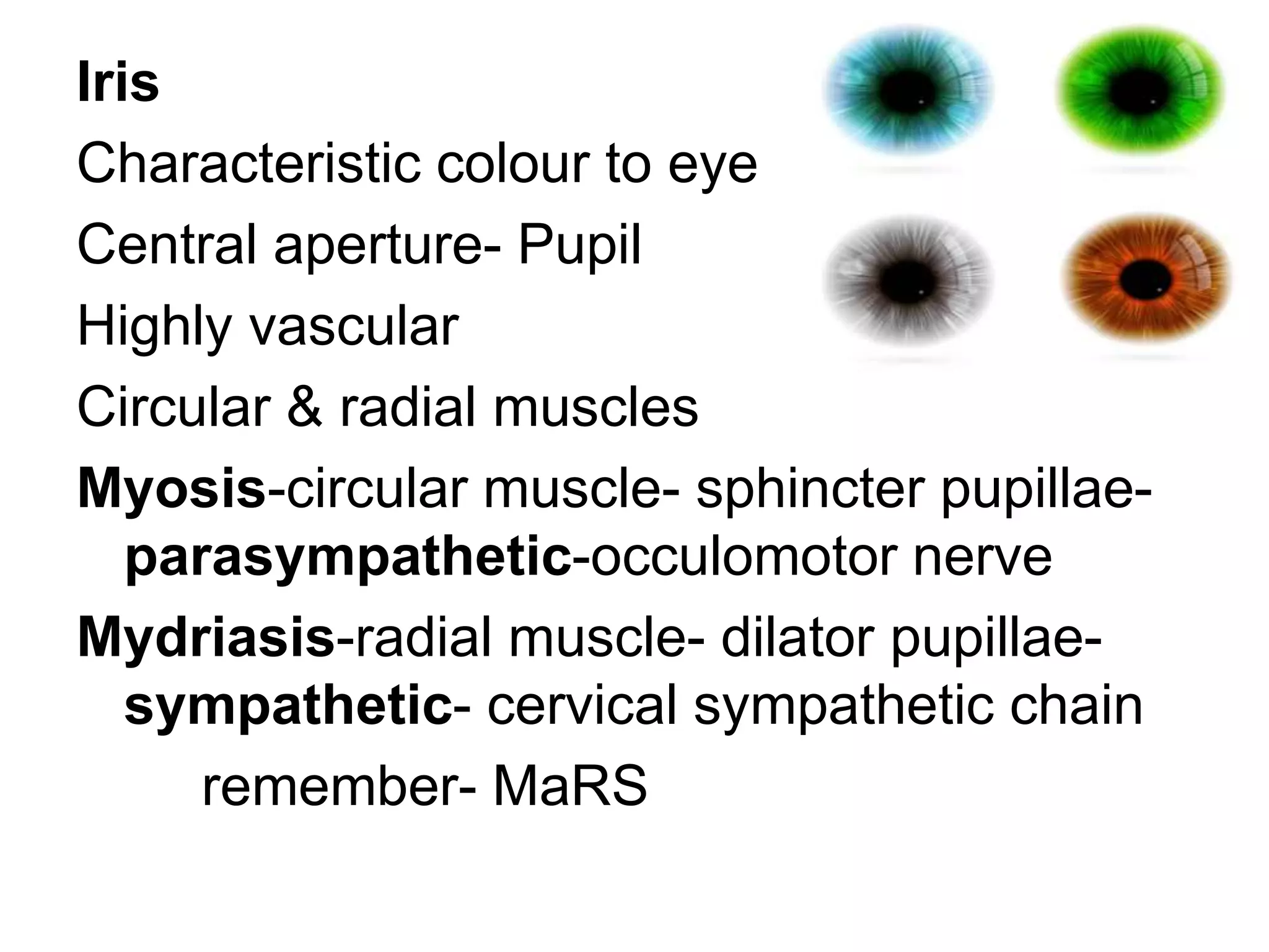 Anatomy, optics & refractive errors of eye | PPT