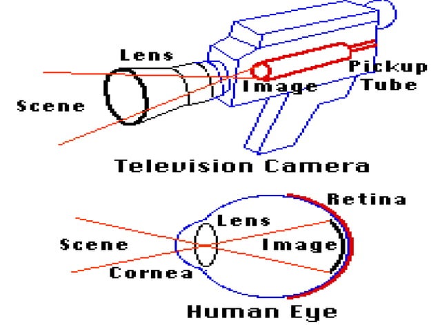 Anatomy, optics & refractive errors of eye | PPT | Eye and Vision ...