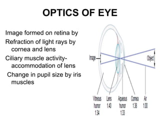 Anatomy, optics & refractive errors of eye | PPT