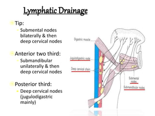 Anatomy oral cavity | PPTX