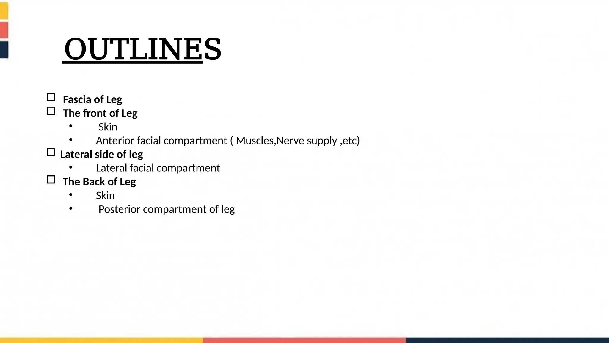 Anatomy of lower limb and including muscles and nerves.pptx