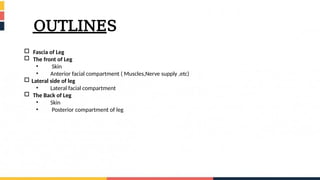 Anatomy of lower limb and including muscles and nerves.pptx