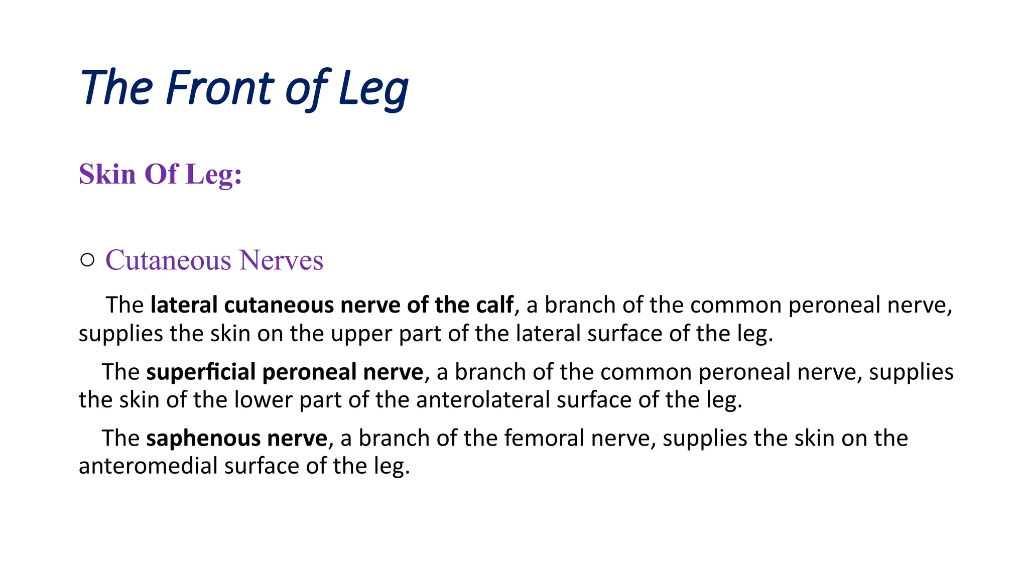 anatomy of lower limb with nerve and blood supply.pptx