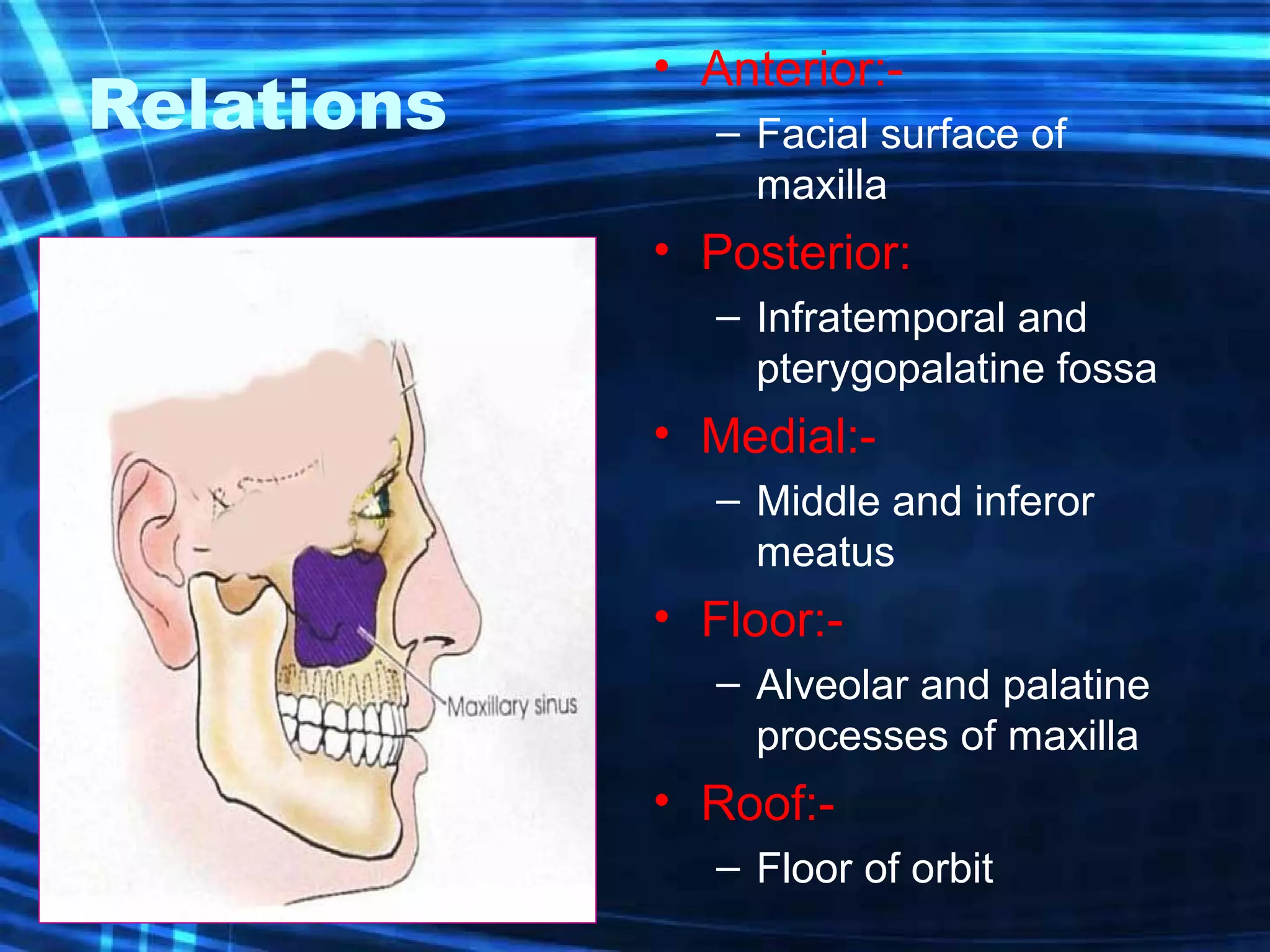 Anatomy and physiology of nose and paranasal sinuses | PPT