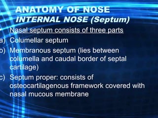 Anatomy and physiology of nose and paranasal sinuses | PPT