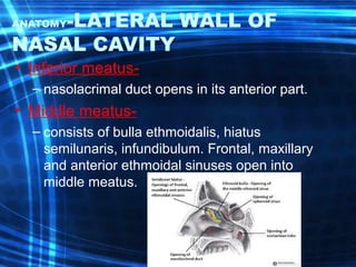 Anatomy and physiology of nose and paranasal sinuses | PPT