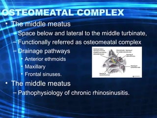 Anatomy and physiology of nose and paranasal sinuses | PPT