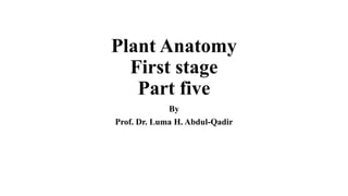 Anatomy part 5 | PPTX