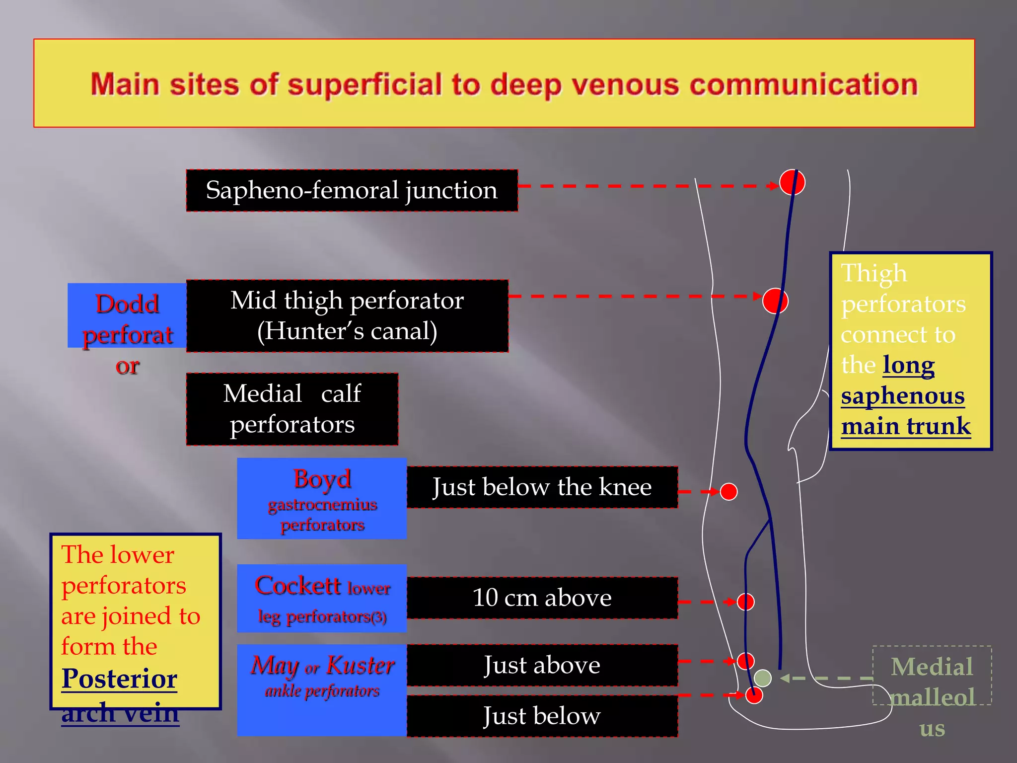 Anatomy and Pathophysiology of venous system of lower limbs | PPTX