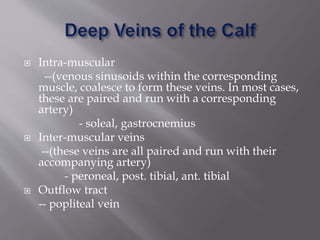 Anatomy and Pathophysiology of venous system of lower limbs | PPTX