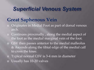 Anatomy and Pathophysiology of venous system of lower limbs | PPTX
