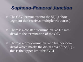 Anatomy and Pathophysiology of venous system of lower limbs | PPTX