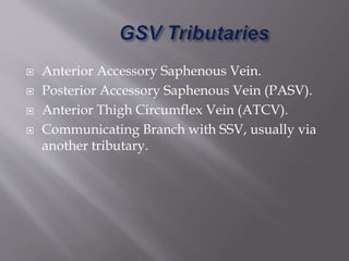 Anatomy and Pathophysiology of venous system of lower limbs | PPTX