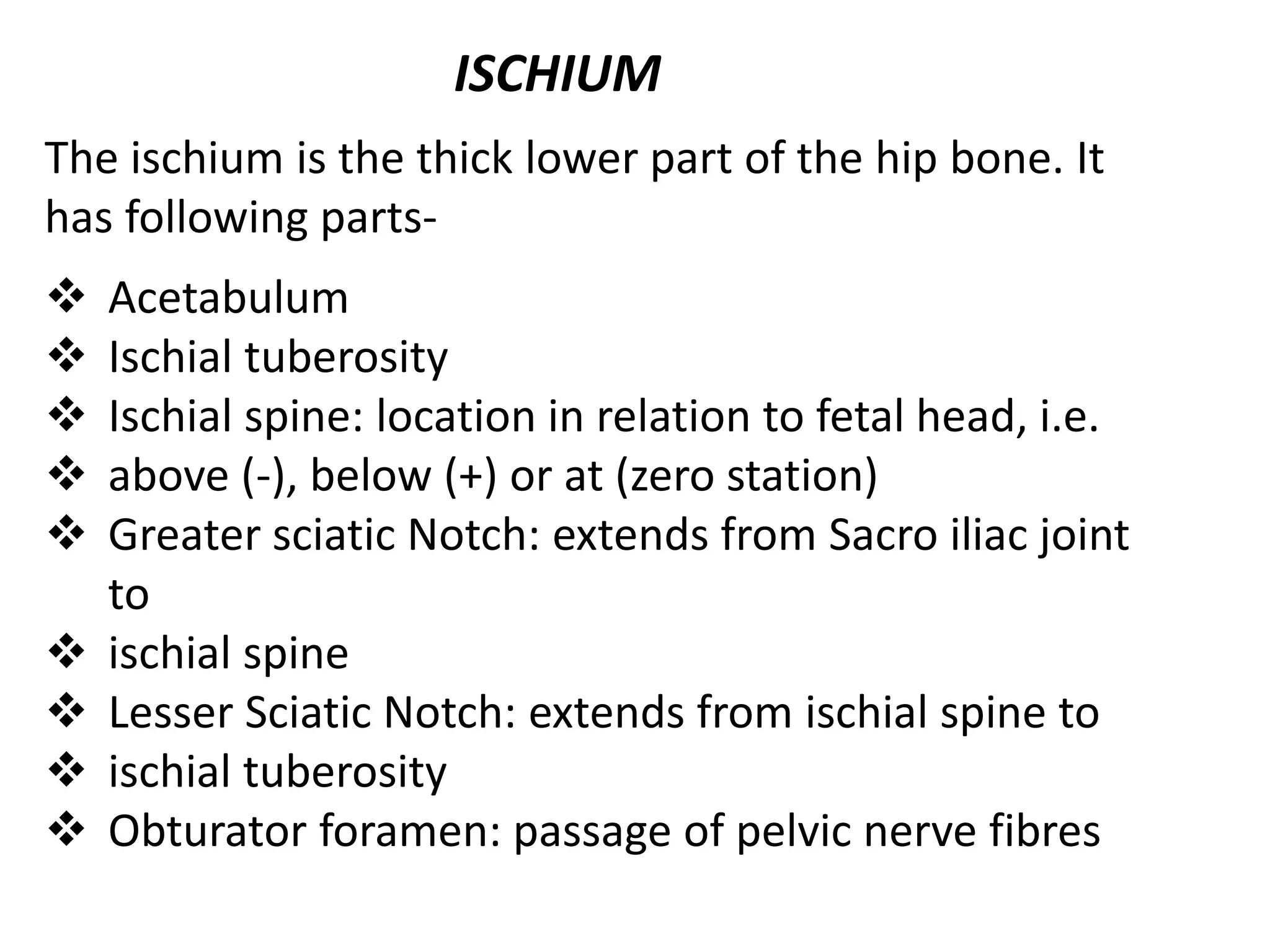 Anatomy pelvic bone | PPTX