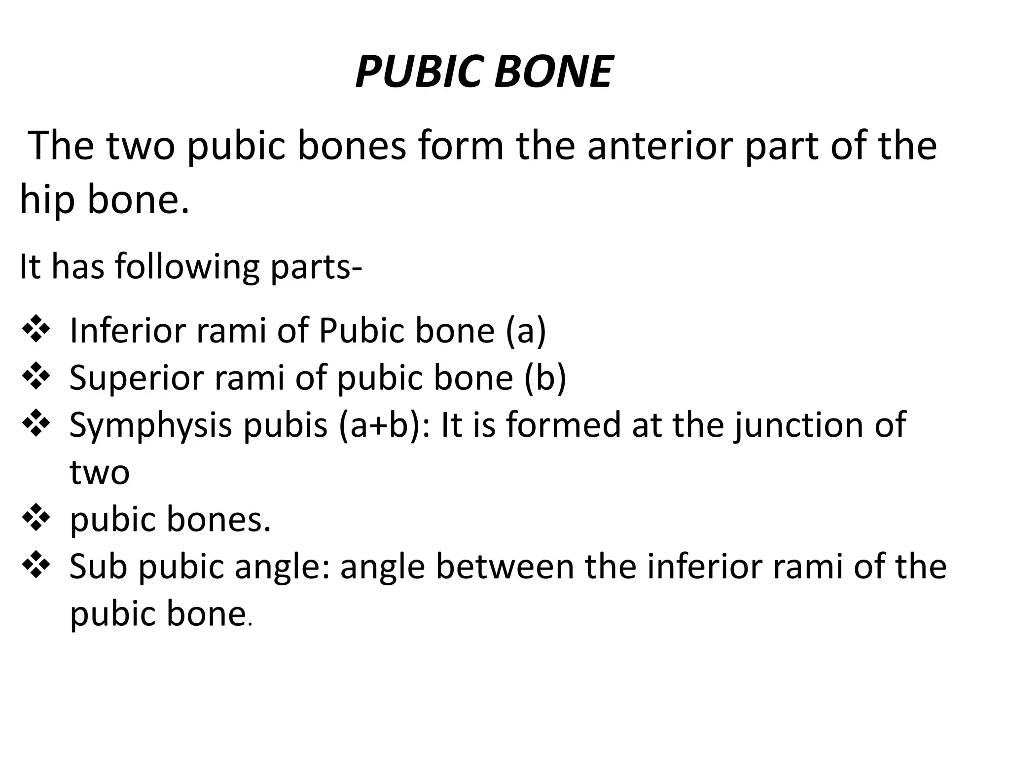 Anatomy pelvic bone | PPTX