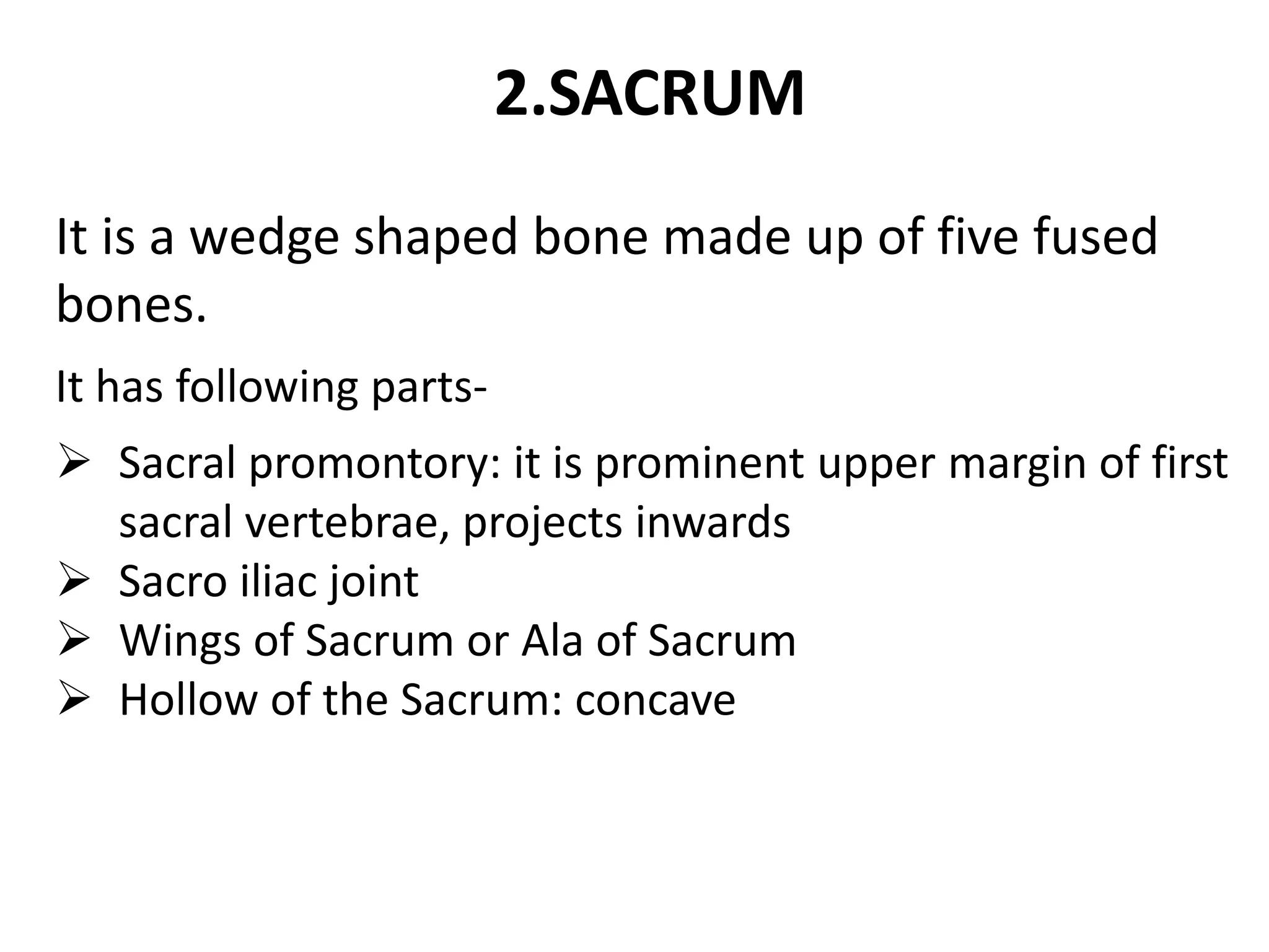 Anatomy pelvic bone | PPTX