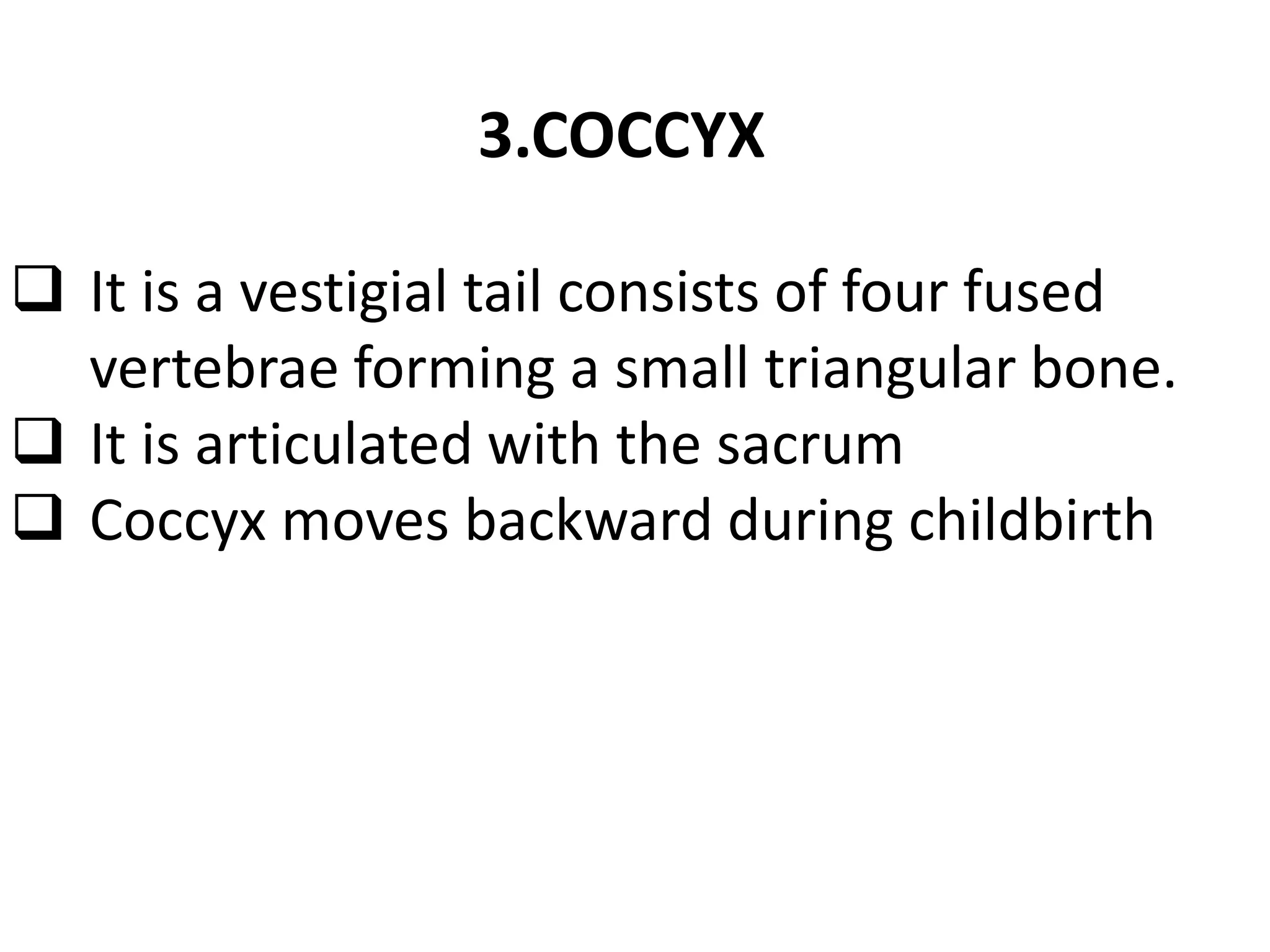 Anatomy pelvic bone | PPTX