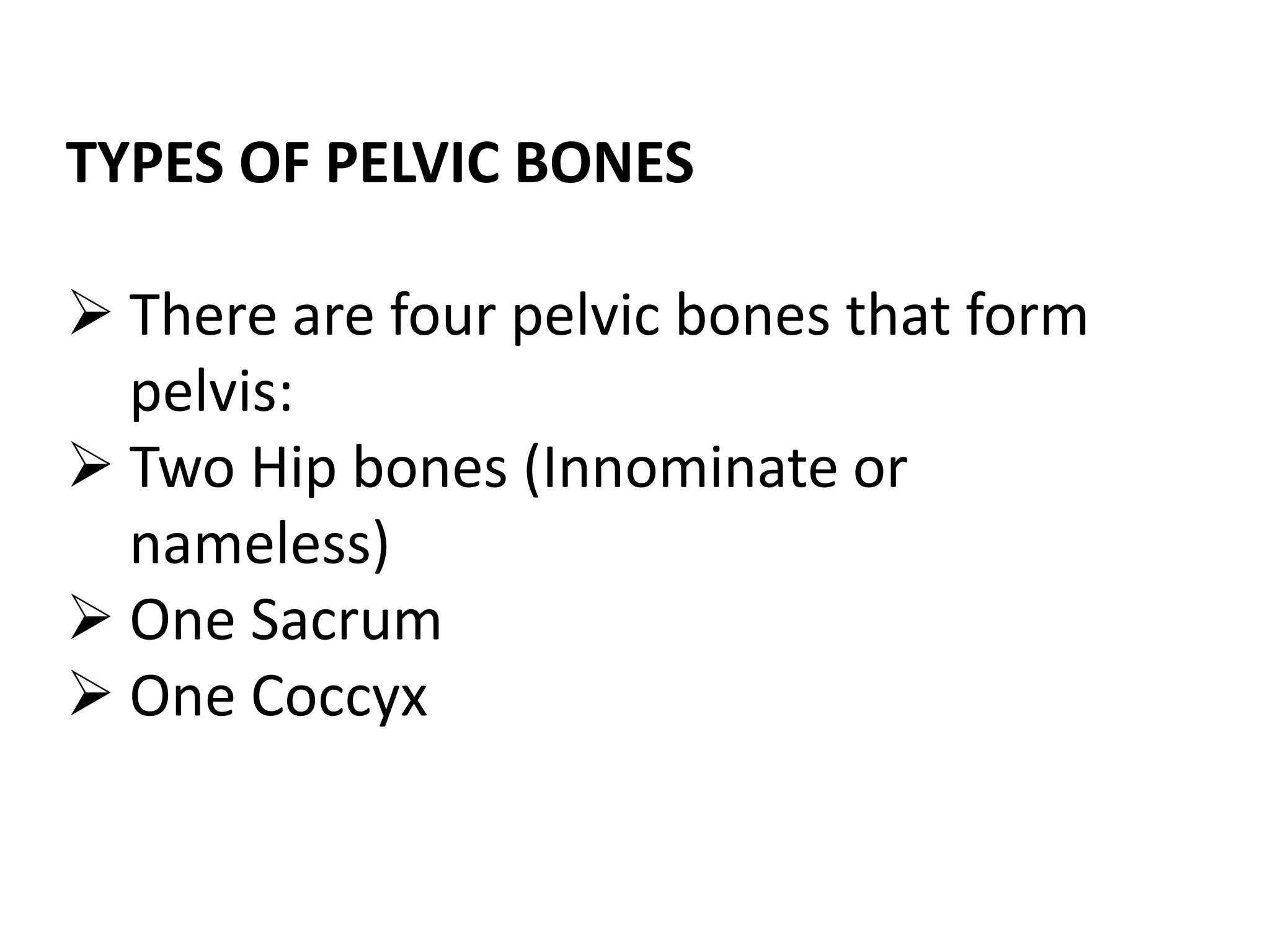 Anatomy pelvic bone | PPTX