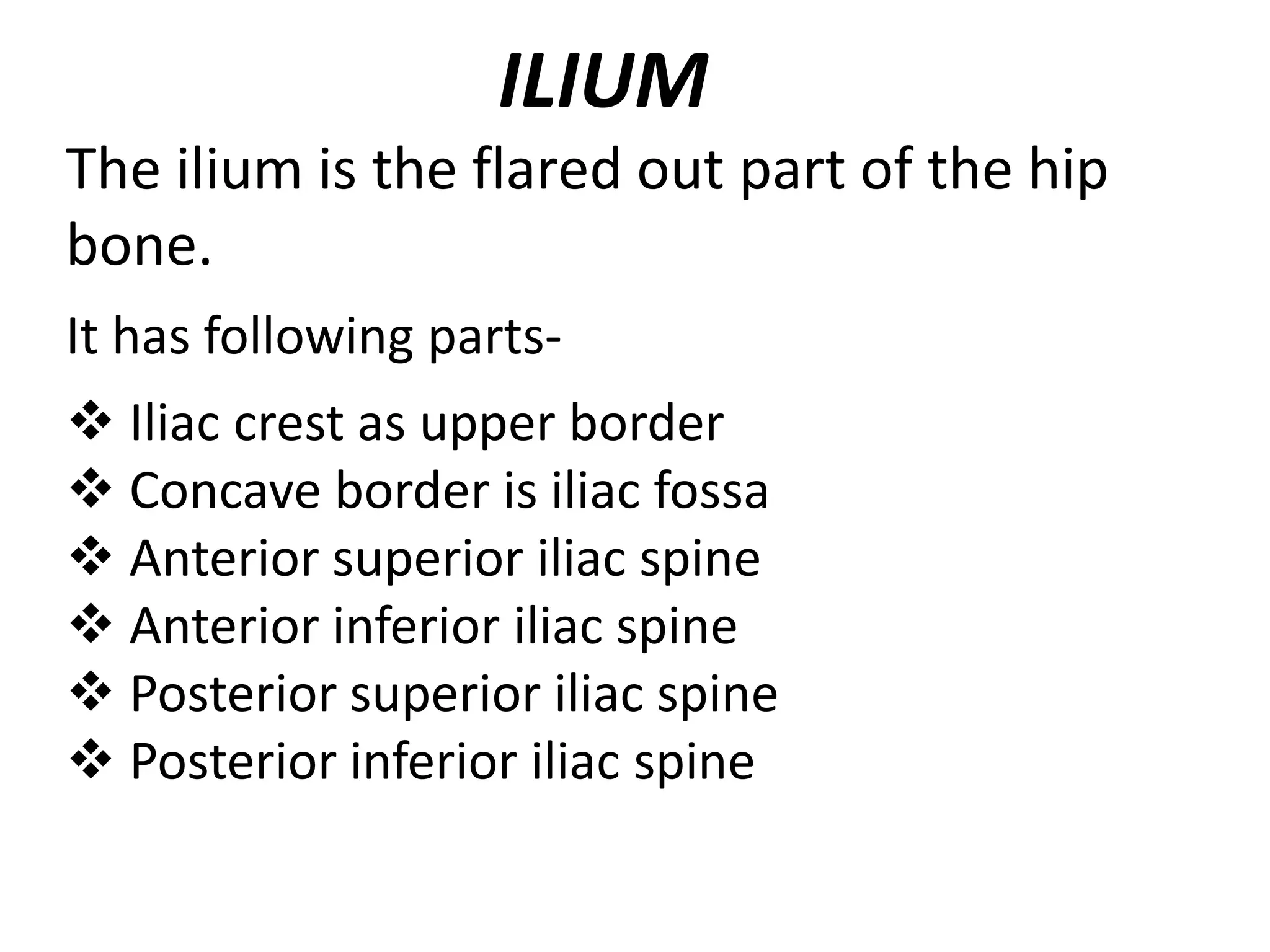 Anatomy pelvic bone | PPTX