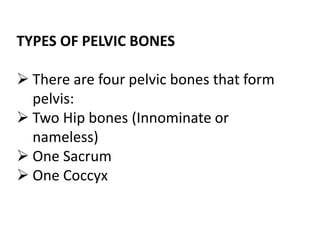 Anatomy pelvic bone | PPTX