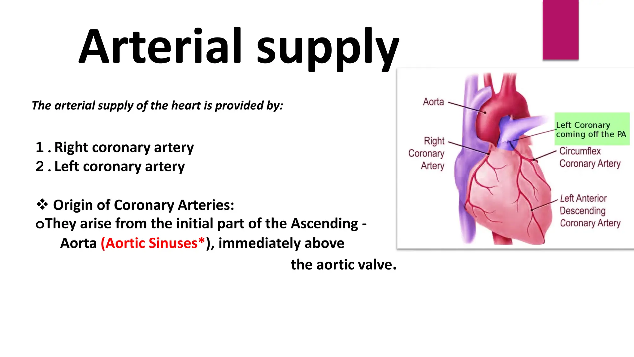 ANATOMY (Arterial supply of blood)MBBS 1st year | PPT