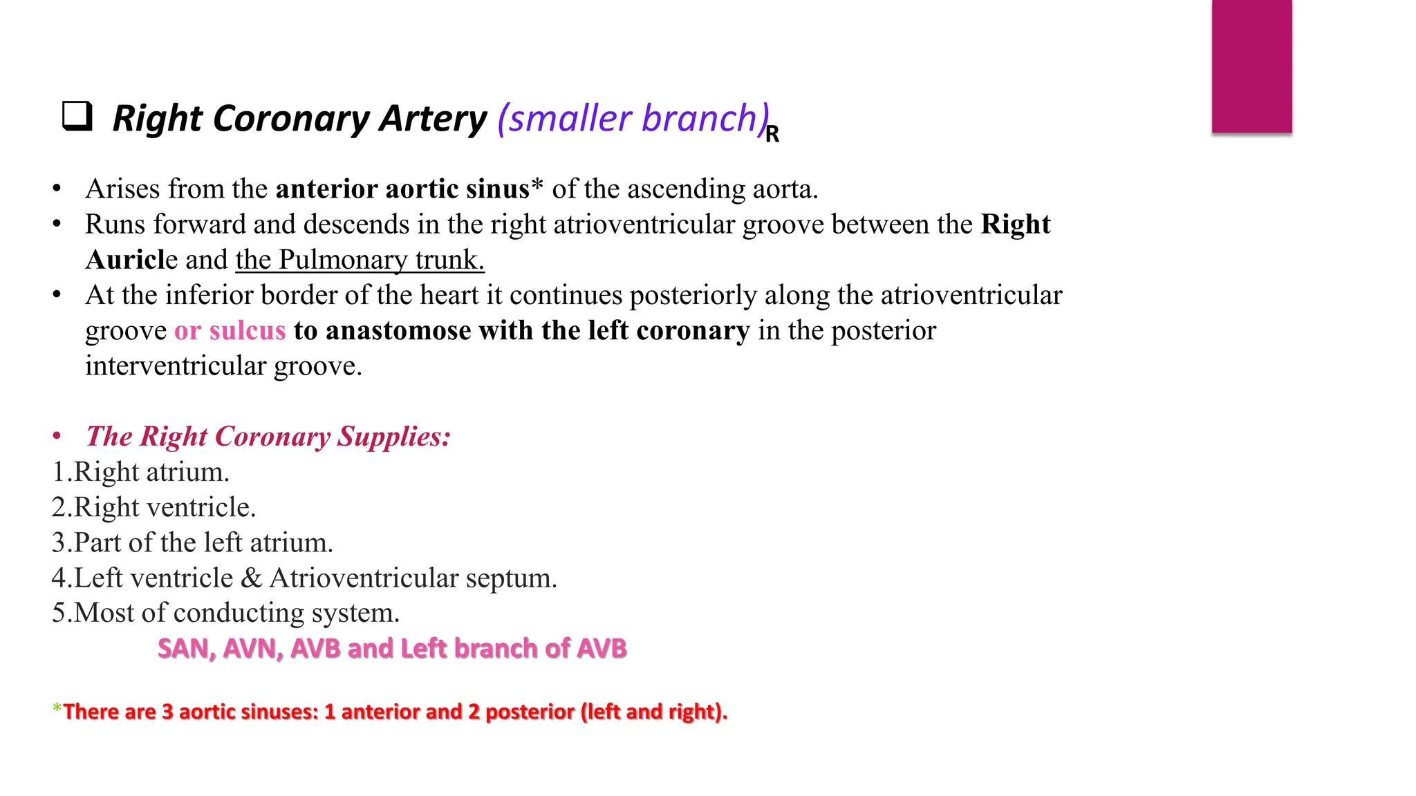 ANATOMY (Arterial supply of blood)MBBS 1st year | PPT