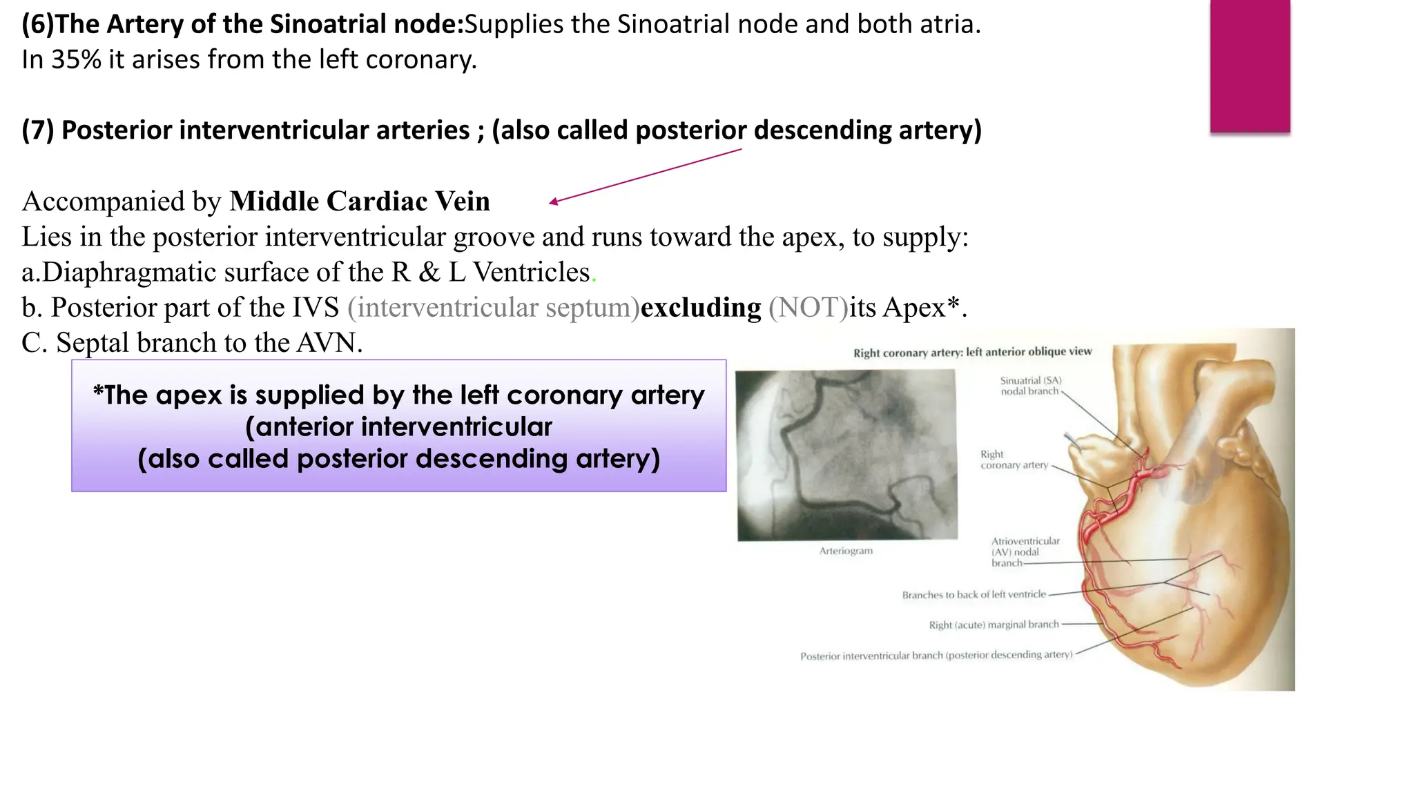 ANATOMY (Arterial supply of blood)MBBS 1st year | PPT