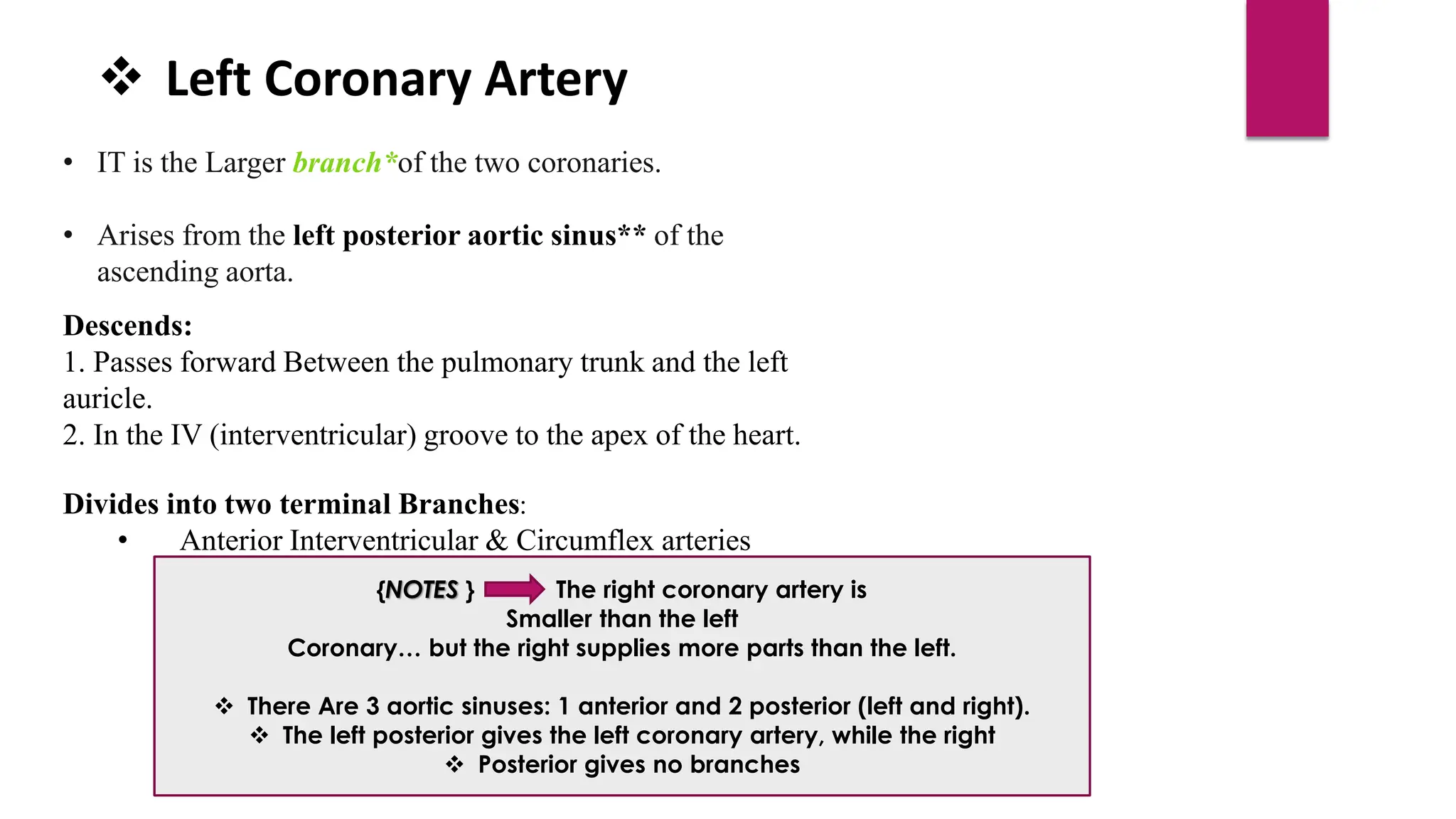 ANATOMY (Arterial supply of blood)MBBS 1st year | PPT