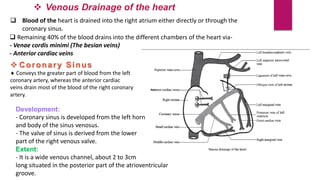 ANATOMY (Arterial supply of blood)MBBS 1st year | PPT