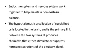 anatomy physio endo.pptx