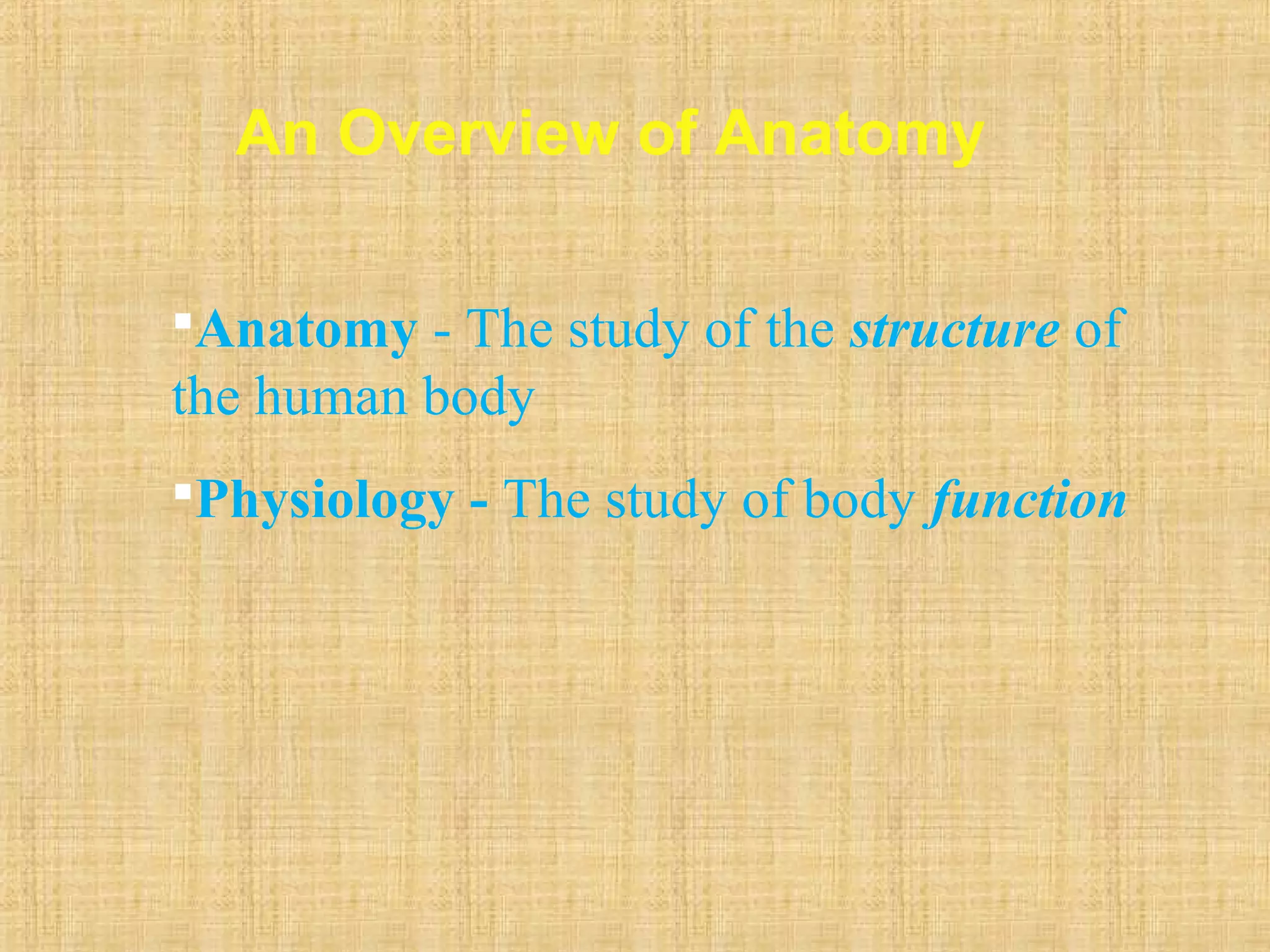 Anatomy & Physiology | PPT