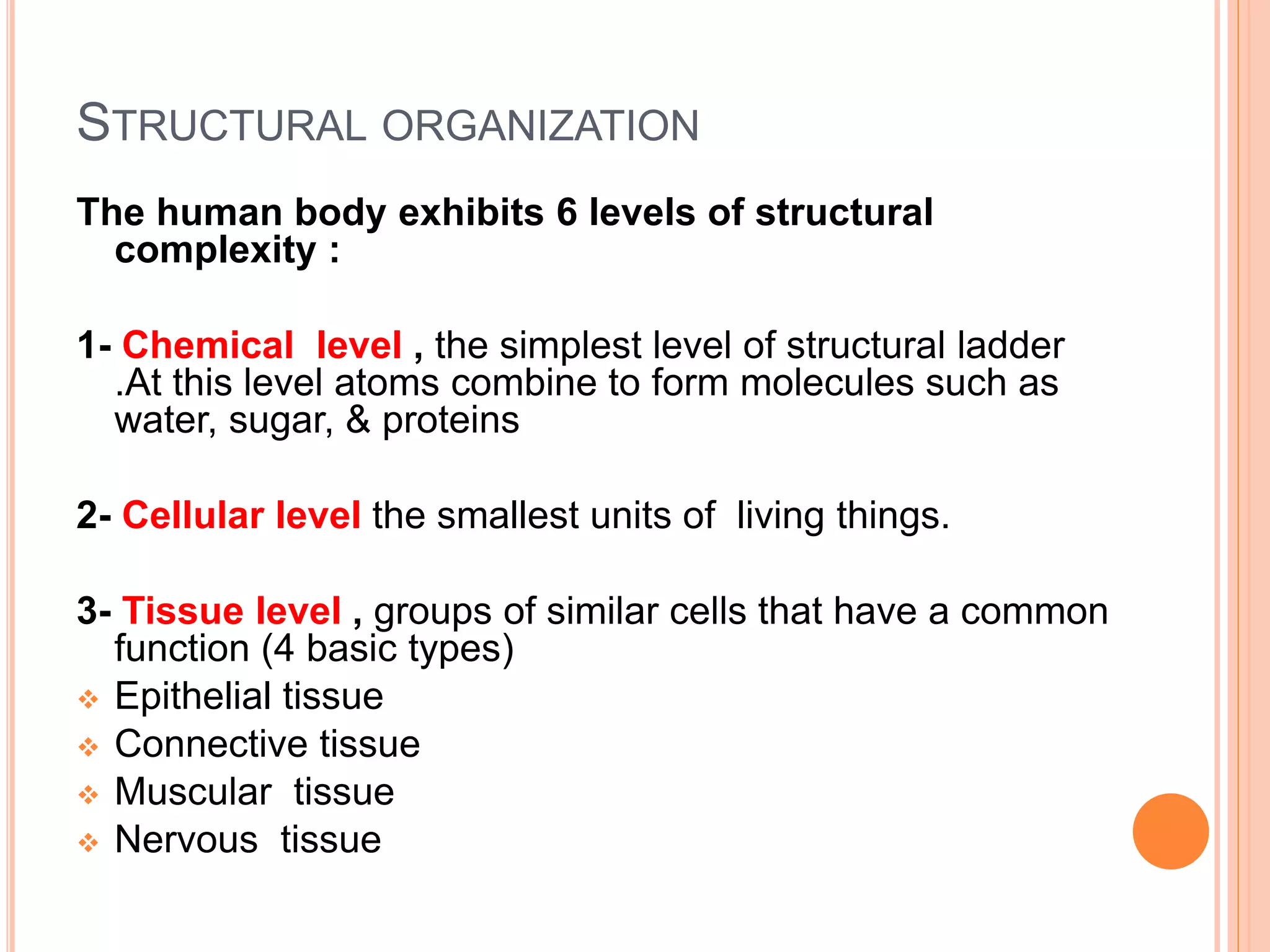 basics of physiology | PPTX